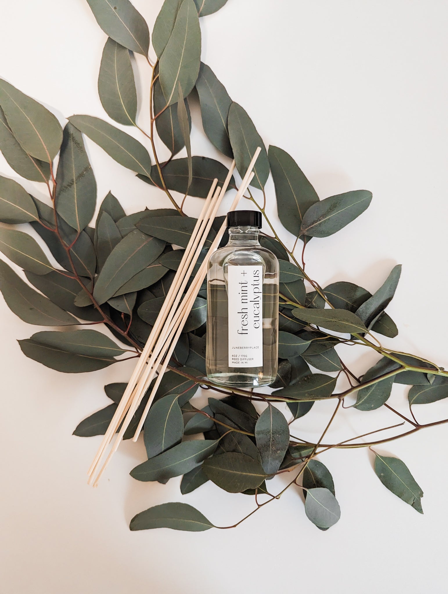 Fresh Mint + Eucalyptus Reed Diffuser | juneberryplace Home Fragrances ...